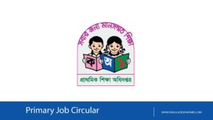 Primary Job Circular 2025: 50,000 Teacher Jobs Expected, Big Changes to ...